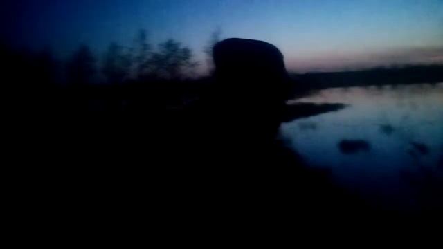 Собака оказалась ведьмой! #батя #байки