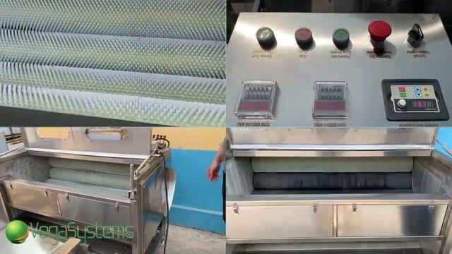 Машина Vega F800 мойка овощей и очистка корнеплодов