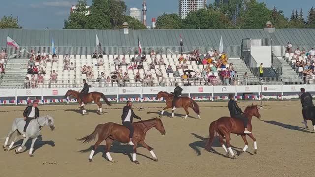Верховая езда на лошади без седла и уздечки. Что делать, когда упал с лошади #топыкатегорий