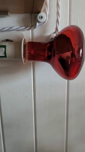 Лампа инфракрасная