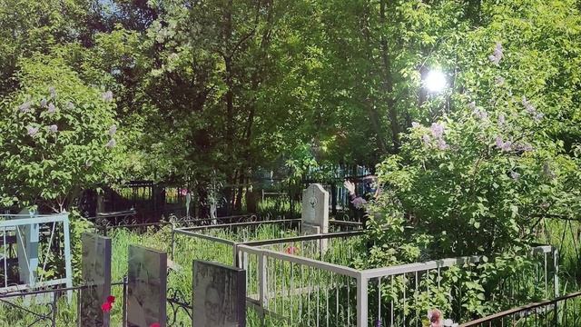 Момент Истины к Заданию 4.  Конкурс Экстрасенсов-Поисковиков "ТАЙНЫ НЕКРОПОЛЯ: Живое-Мёртвое"