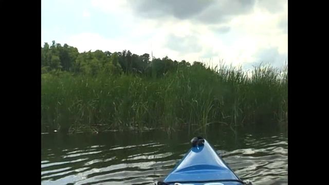 2017 Кармаран Каное