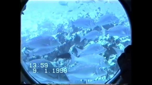 1998-Египет Хургада Калипсо