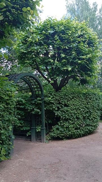 Птичий павильон усадьбы Кусково.