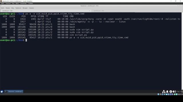 Linux Часть 1 Видео 17 Процессы