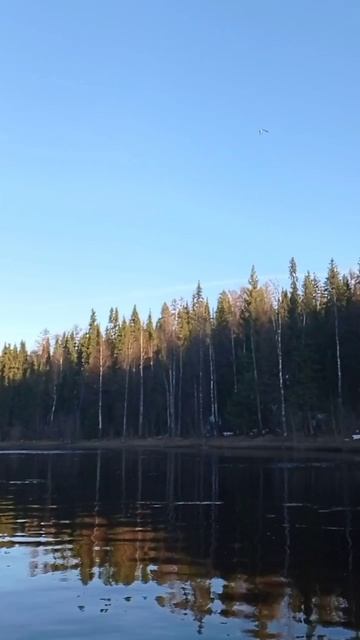 на  природе в Коми