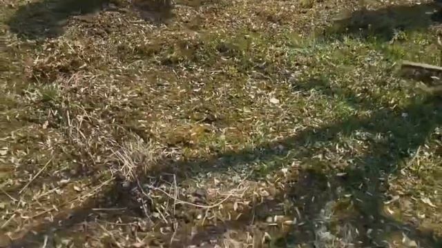 Субботник в Партизанске