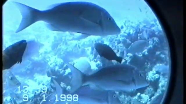 1998 Египет Калипсо