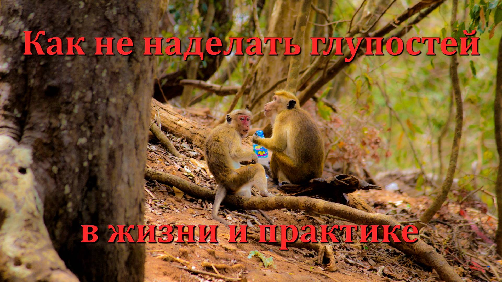 Как не наделать глупостей в жизни и практике