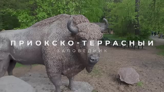 Приокско-Террасный государственный заповедник