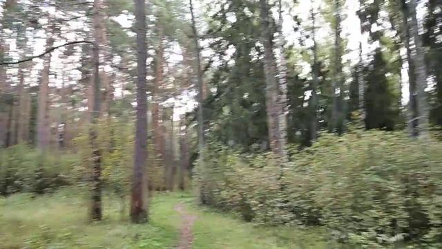 Красота земная !