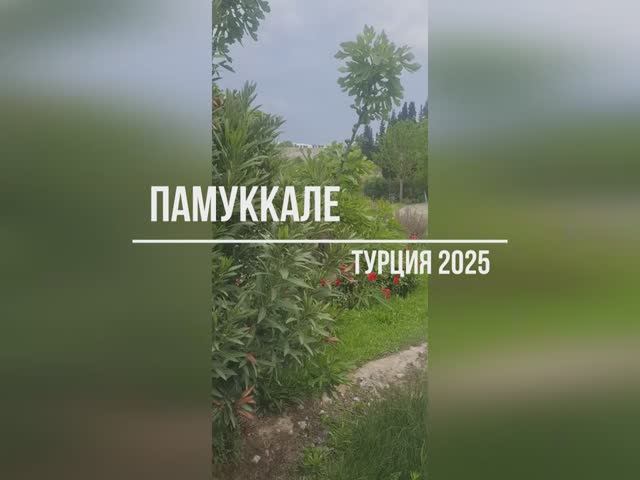 Путешествия и природа