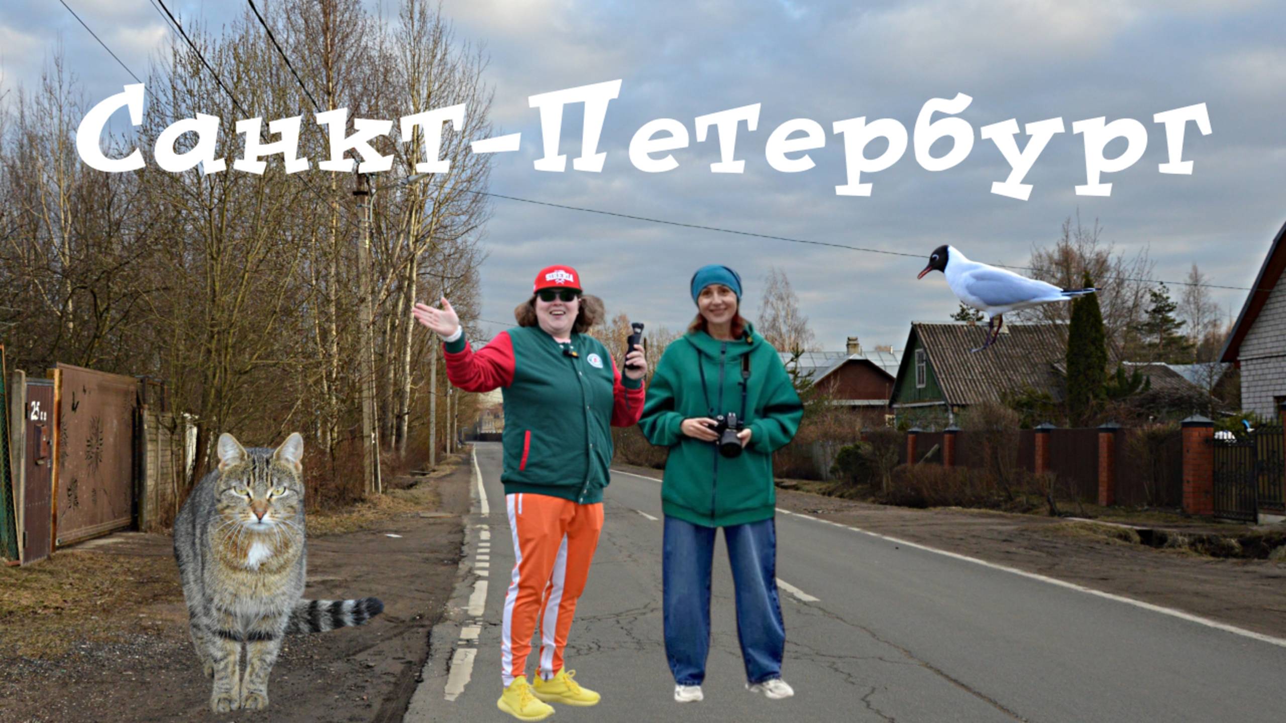 По следам шайбы: Автоэкспедиция по стадионам КХЛ 2024|2025. Выпуск 72. Разный Санкт-Петербург