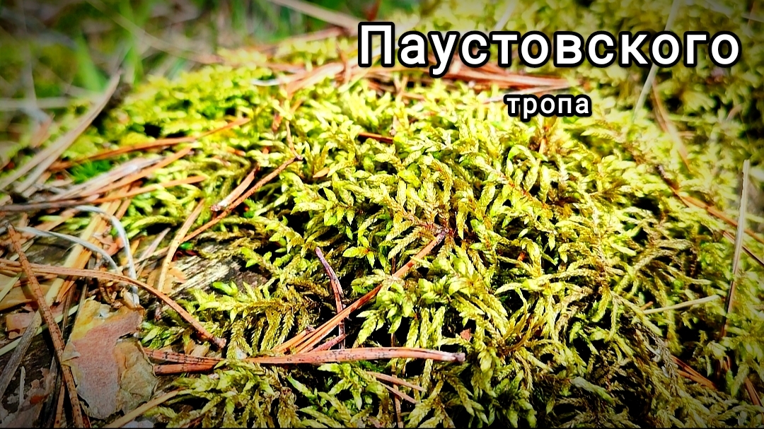 Тропа Паустовского. Часть 1