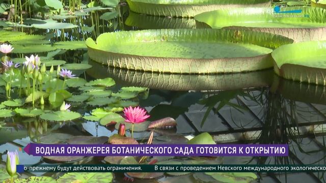 Водная оранжерея Ботанического сада готовится к открытию