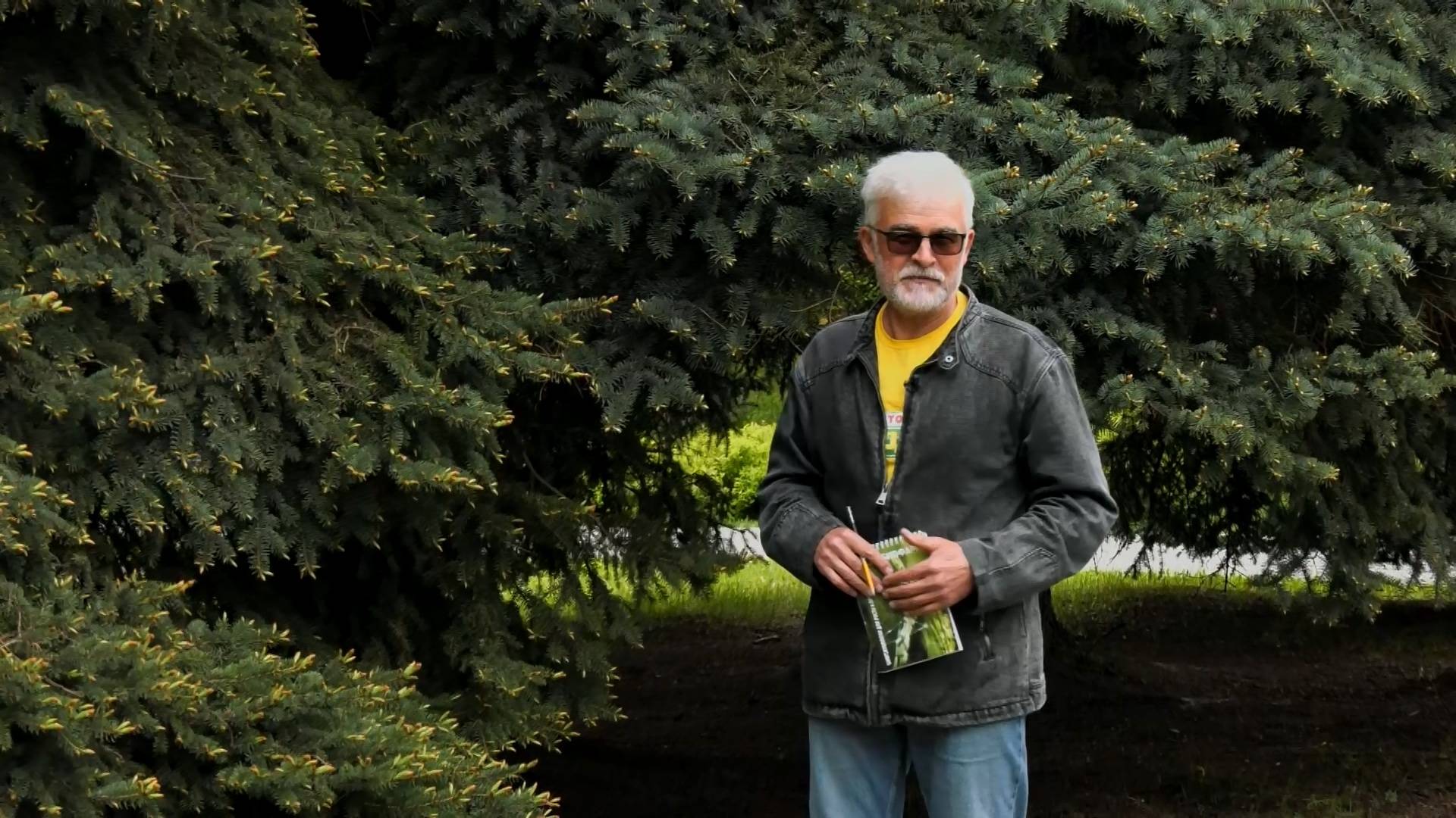 Вперёд, товарищи! На дачу! Выпуск от 20.05.25