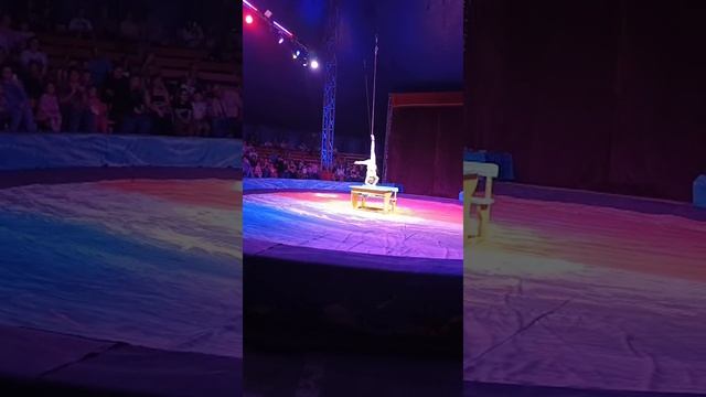 21-05-2025 видео из цирка 2