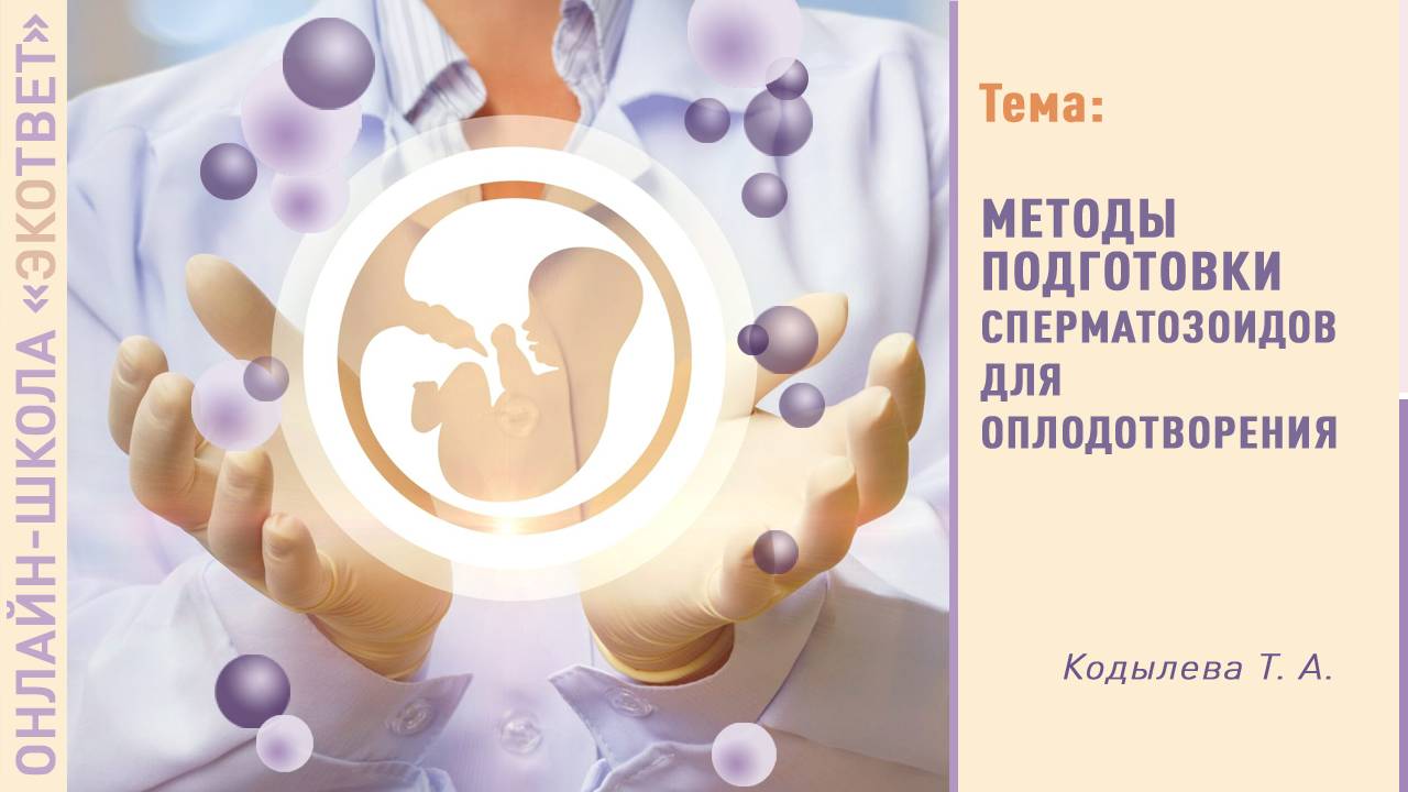 Онлайн-школа ЭКОтвет: методы подготовки сперматозоидов для оплодотворения