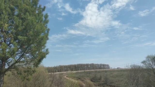 Радоница
