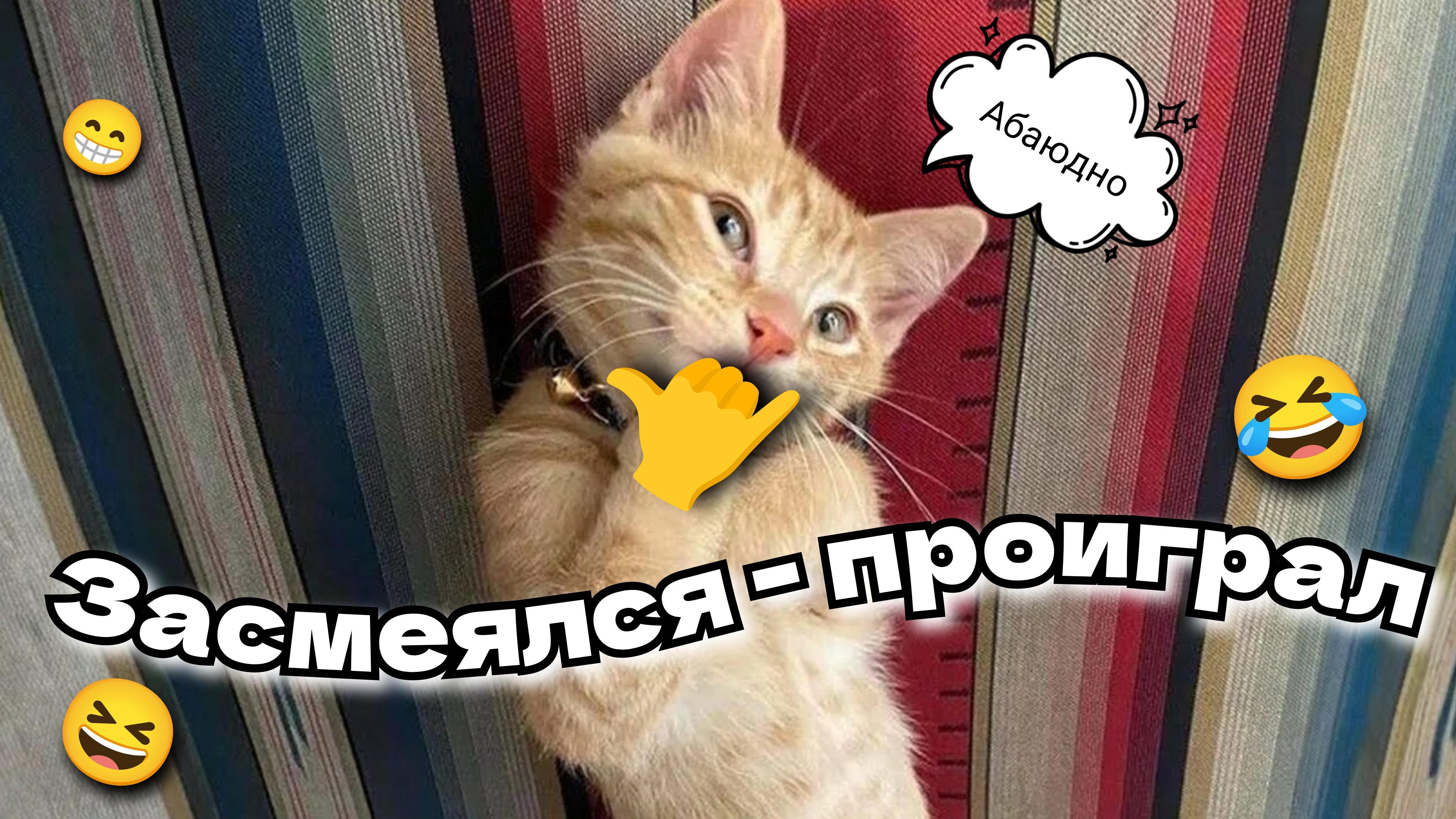 Смешные видео | приколы с животными #13