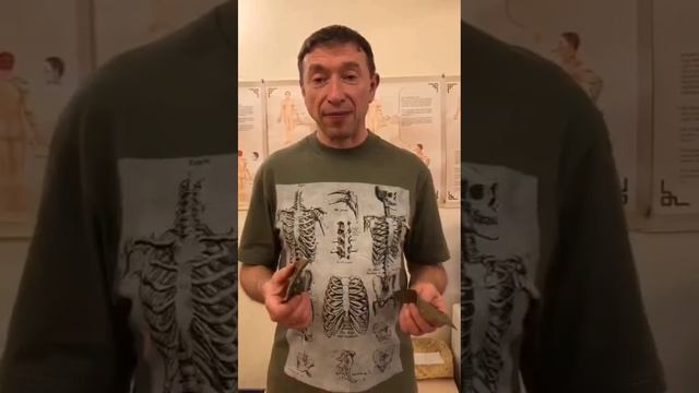 Отзыв о стельках от остеопата