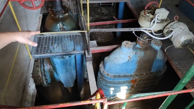 2021-ОСВ КУБАНЬ