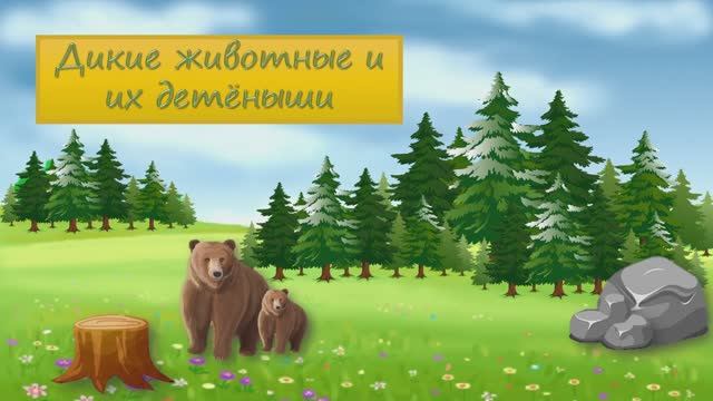 Дикие животные и их детёныши. Обучающее видео для детей