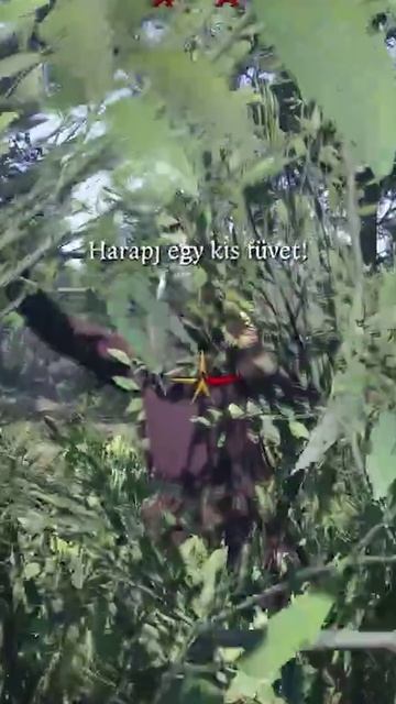 Искусство беседы в Средневековье #KingdomComeDeliverance2 
#DevReality #videogames #game #gameplay