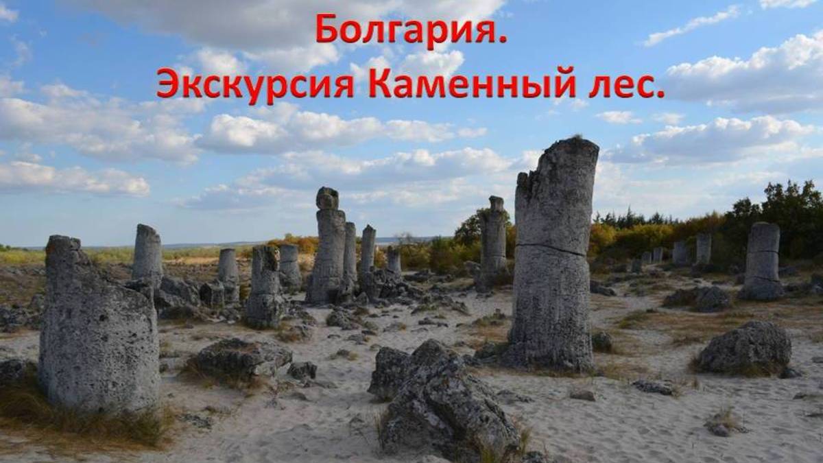 Болгария. Экскурсия Каменный лес.