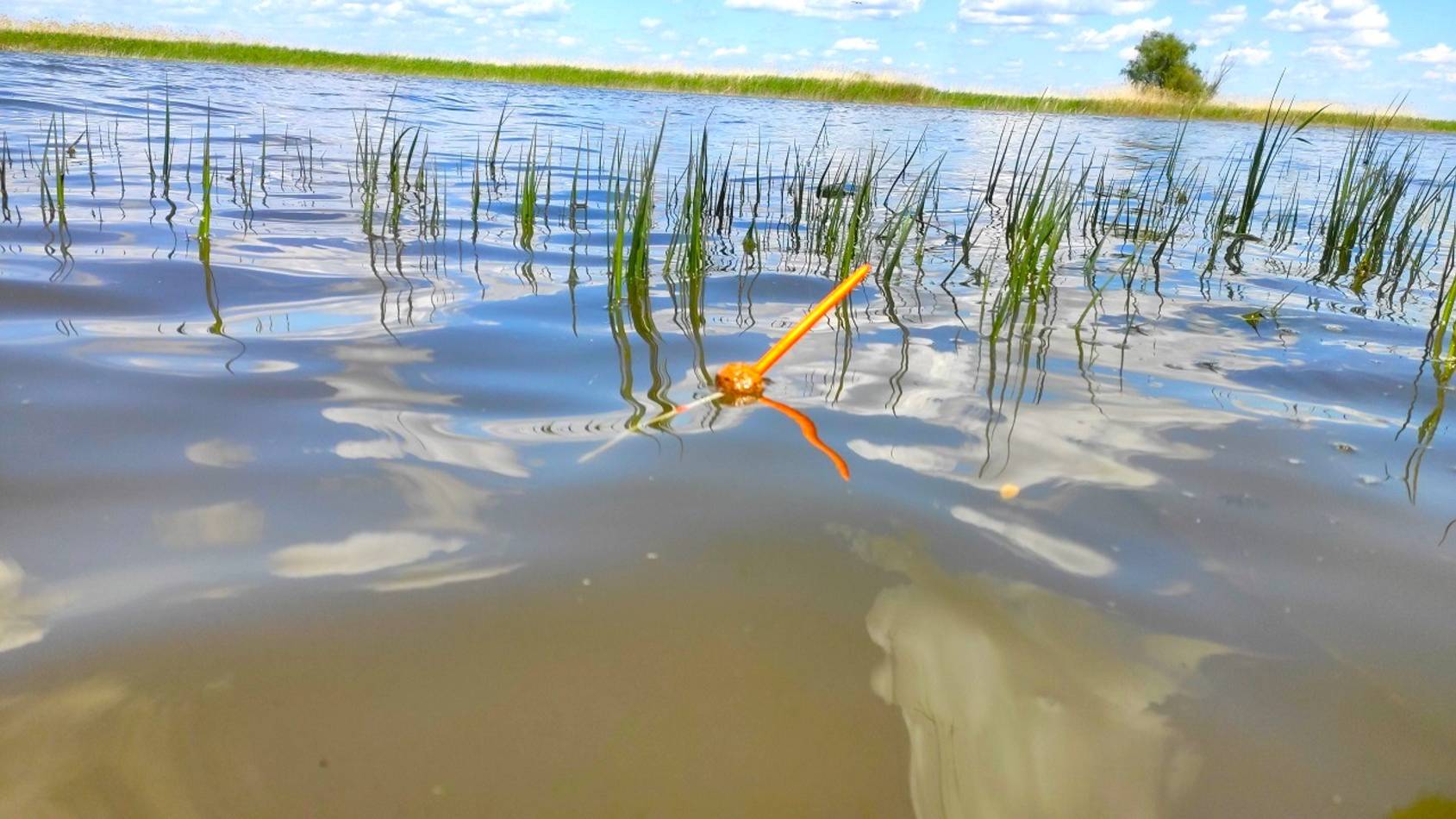 Жор САЗАНА - ОДИН ЗА ОДНИМ НА ПОПЛАВОК!!!! Рыбалка на сазана и карася