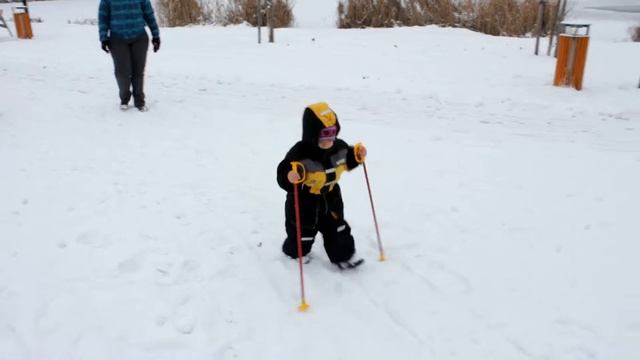 2012 Тшебница Тёща