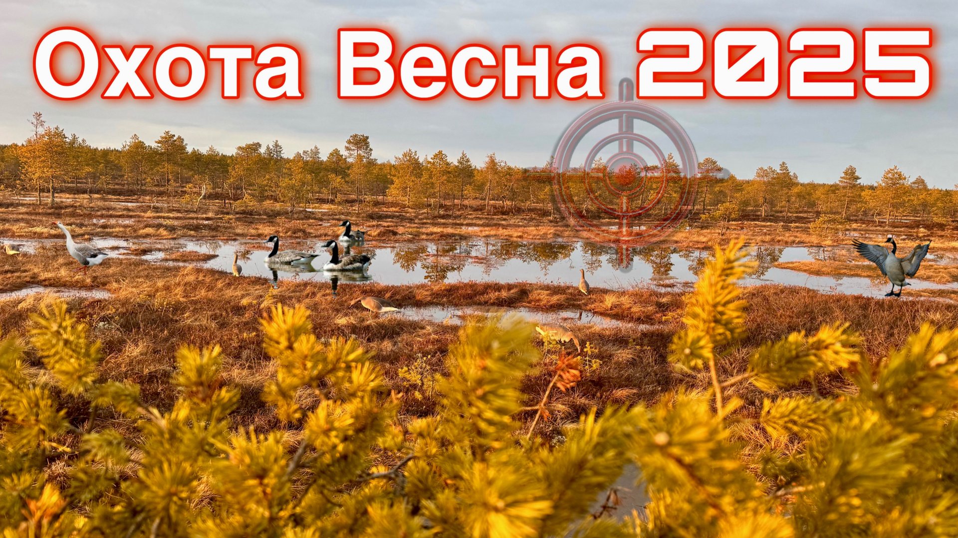 ОХОТА 2025 ВЕСНА 
#охота#весна#гусь #топыкатегорий