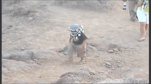 2005 Египет Квадрациклы