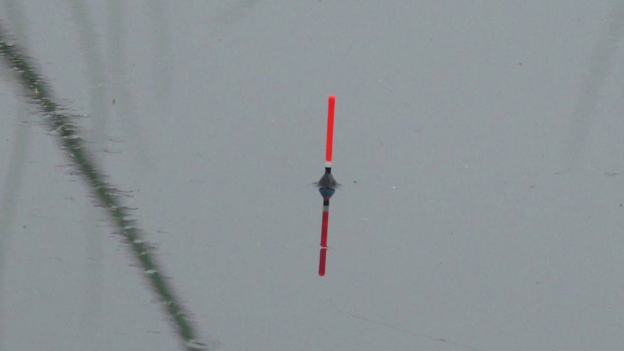 Прикормил место и пошла жара. Рыбалка