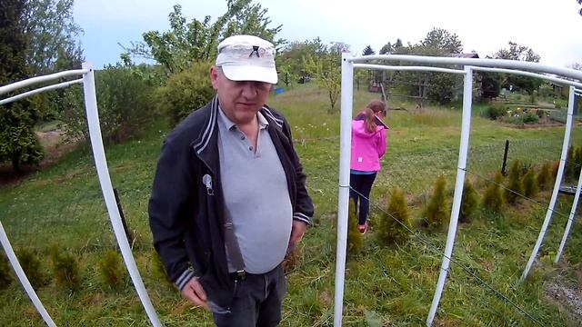 Капсула времени