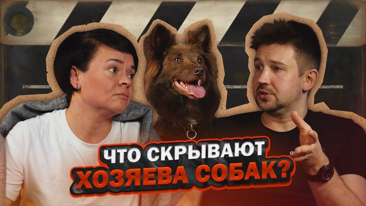 От отпуска до развода; Что скрывают хозяева собак? Подкаст beinvideo - 7 выпуск