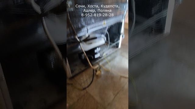 🔧 "Ремонт холодильника Бирюса: почему не включается, но свет горит? Меняем реле!"