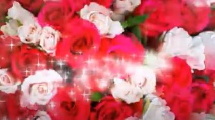 Амандык Курманбаев. Городские цветы. Подпишитесь на канал.