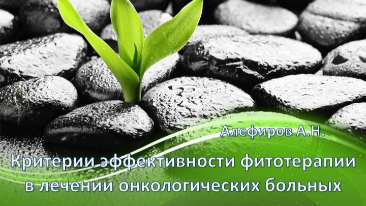 Об эффективности фитотерапии в онкологии. Алефиров А.Н.