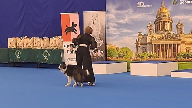 1000011520.mp4.Тамила Бутримова.Чемпионат Р.К.Ф.по танцам с собаками.Экспофорум.Санкт Петербург.2025