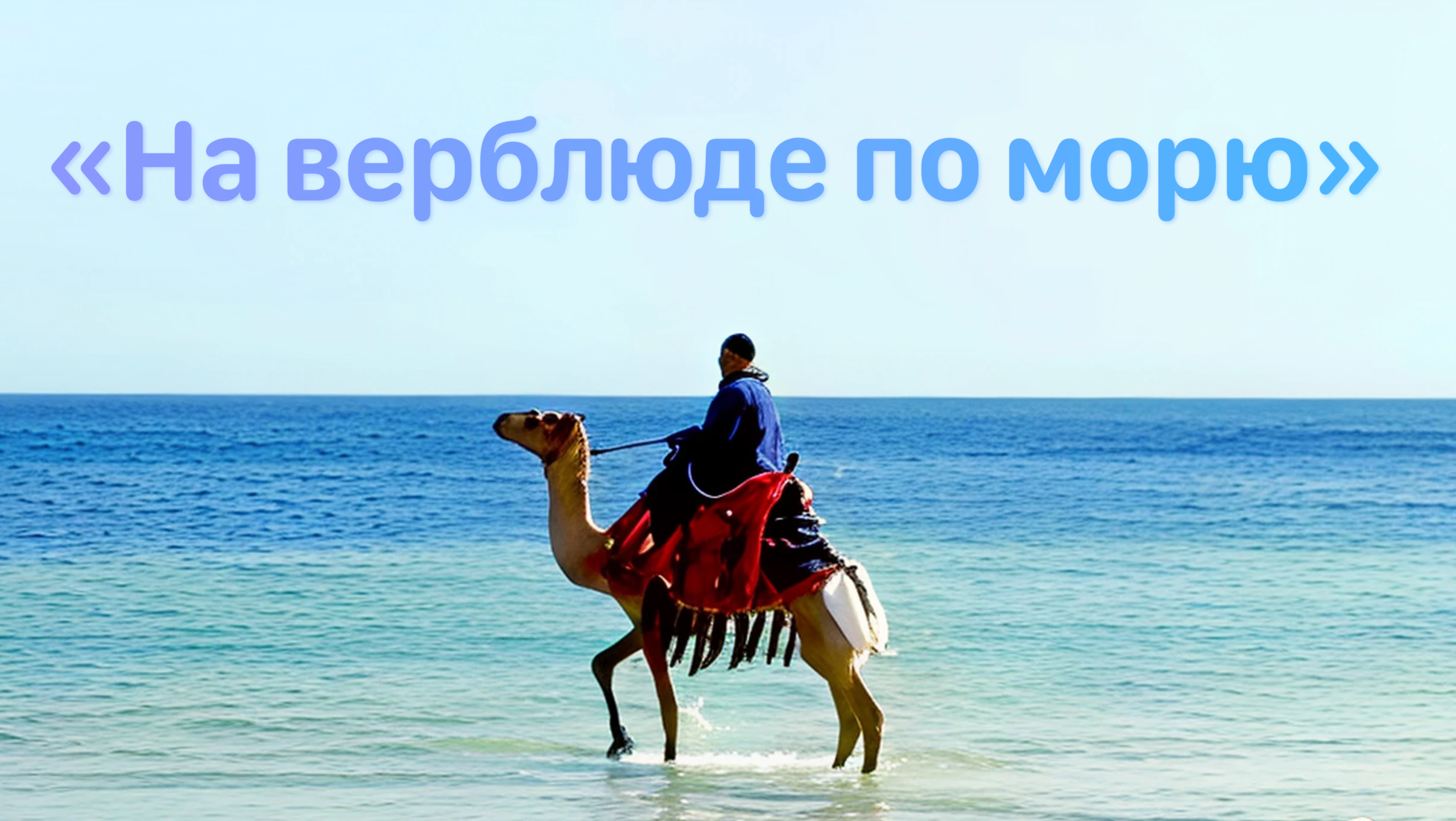 Верблюд ходит по морю 😁😁😁