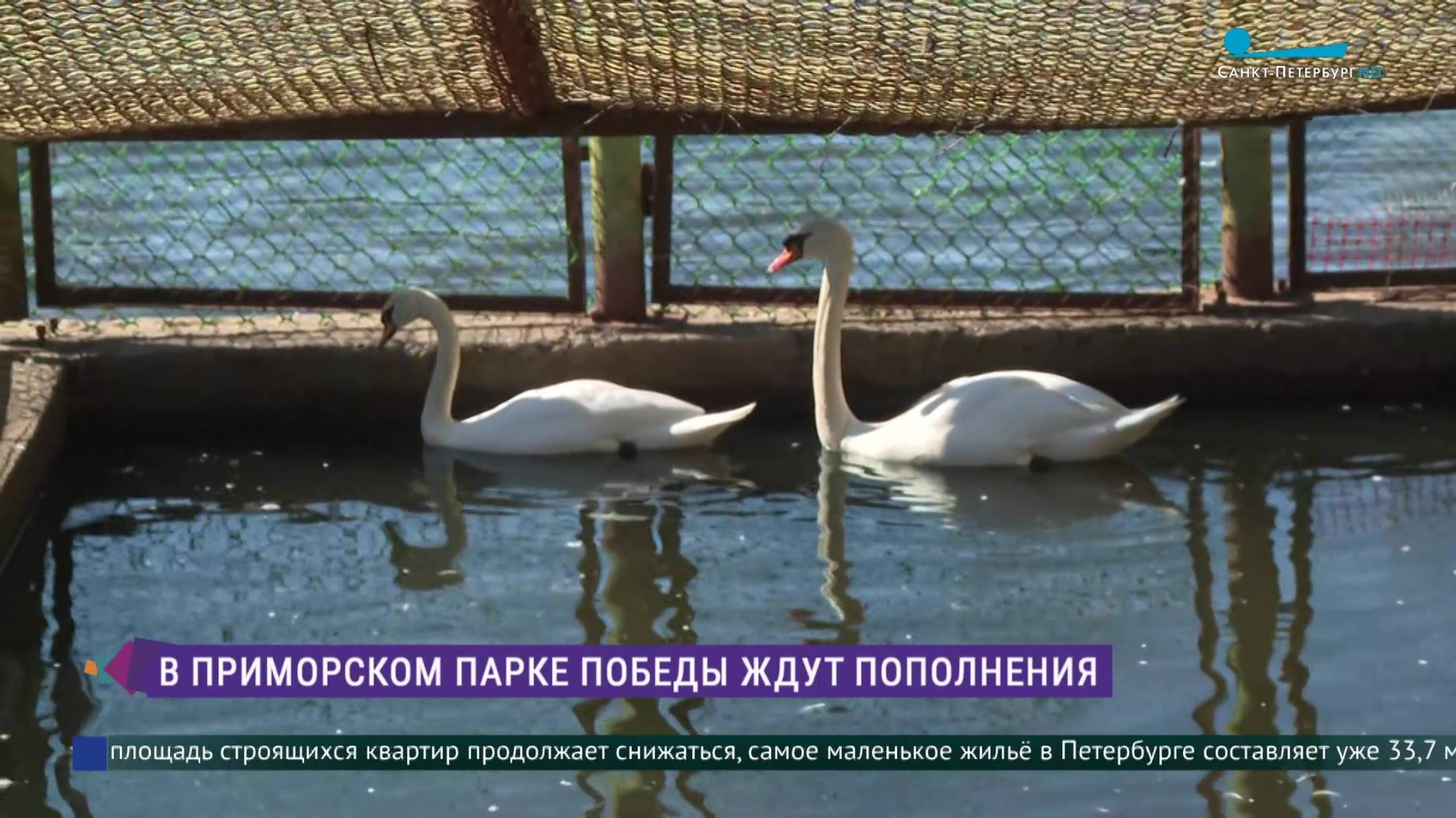 В Приморском парке Победы ждут пополнения