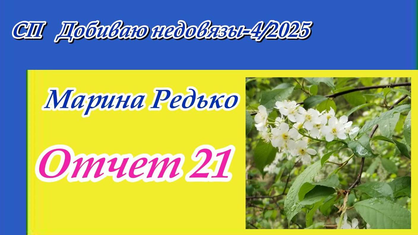 СП "Добиваю недовязы 4/2025" с Мариной Стоговой / Отчет 21