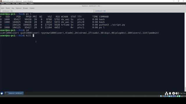 Linux Часть 1 Видео 18 Сигналы