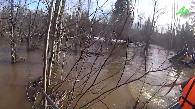Сплав по Вижаю (Сараны - Пашия) 65км