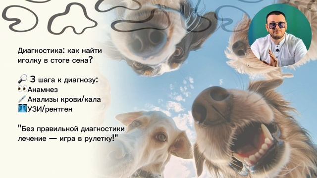 Рвота и диарея у собак.