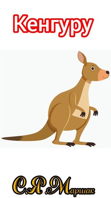 Кенгуру | Стихи детям 📚 | С. Я. Маршак ✒️ | Стихи для малышей на ночь 😴 Стихотворения