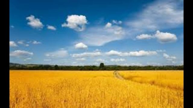 №3"Тютчев. В воспоминаниях, в стихах и прозе"