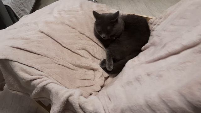 Всем кто ложится спать...