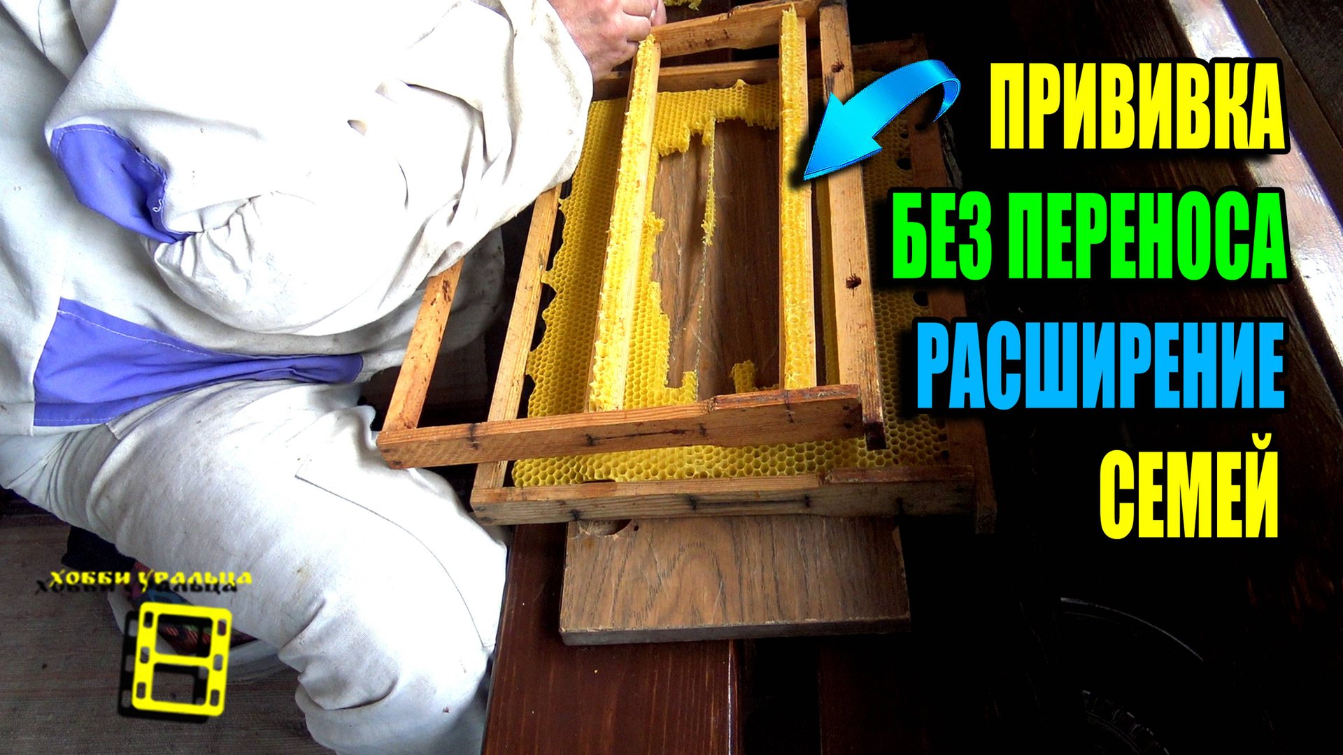 ПРИВИВКА БЕЗ ПЕРЕНОСА ЛИЧИНОК. ПРОДОЛЖЕНИЕ РАСШИРЕНИЯ ГНЕЗД ДЛЯ ИЗБЕГАНИЯ РОЕНИЯ. ПЧЕЛОВОДСТВО 25-19
